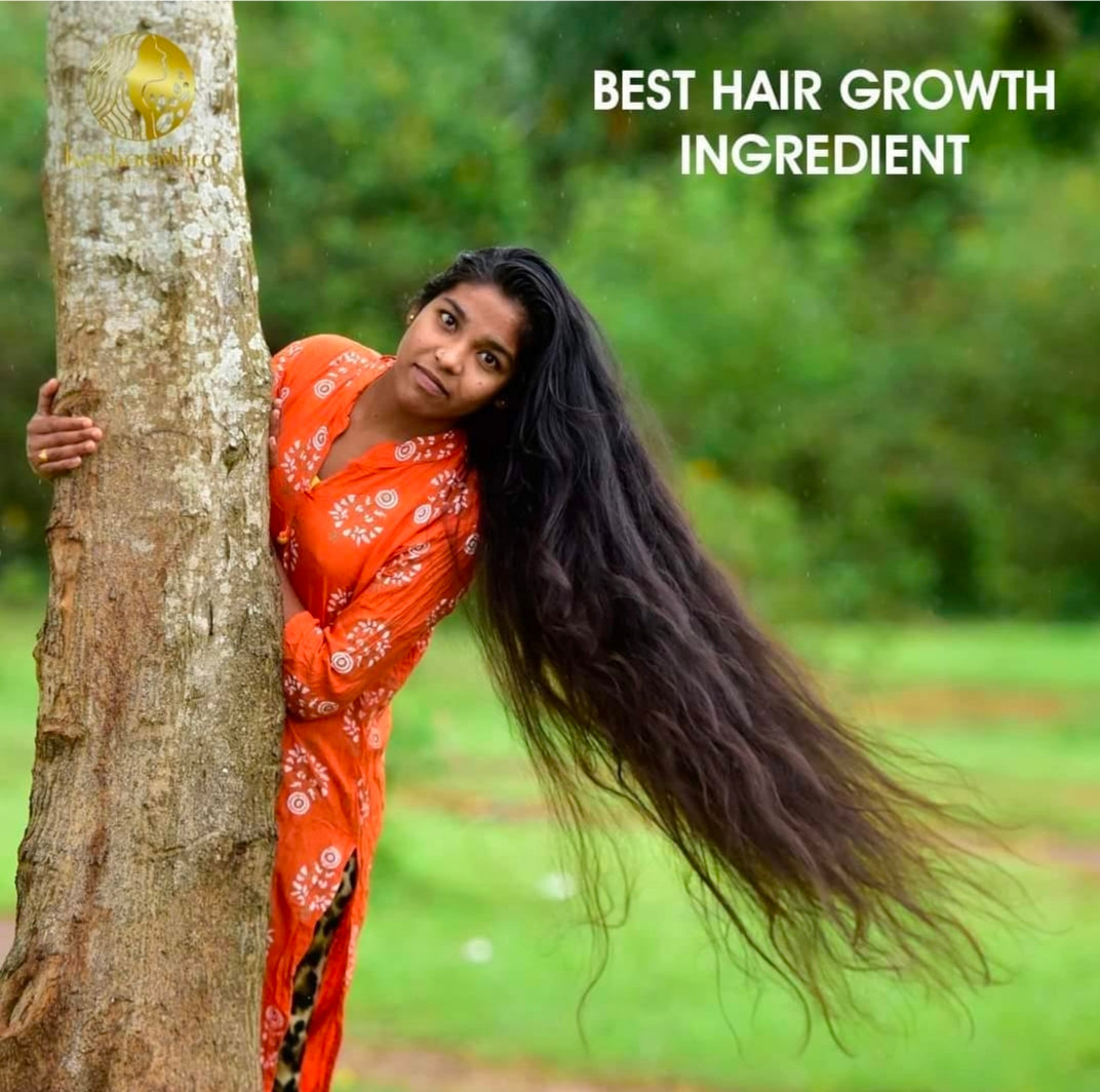 Bringa Herbal Products - Bringhamulaka Ayurvedic Hair Oil to Prevent ...